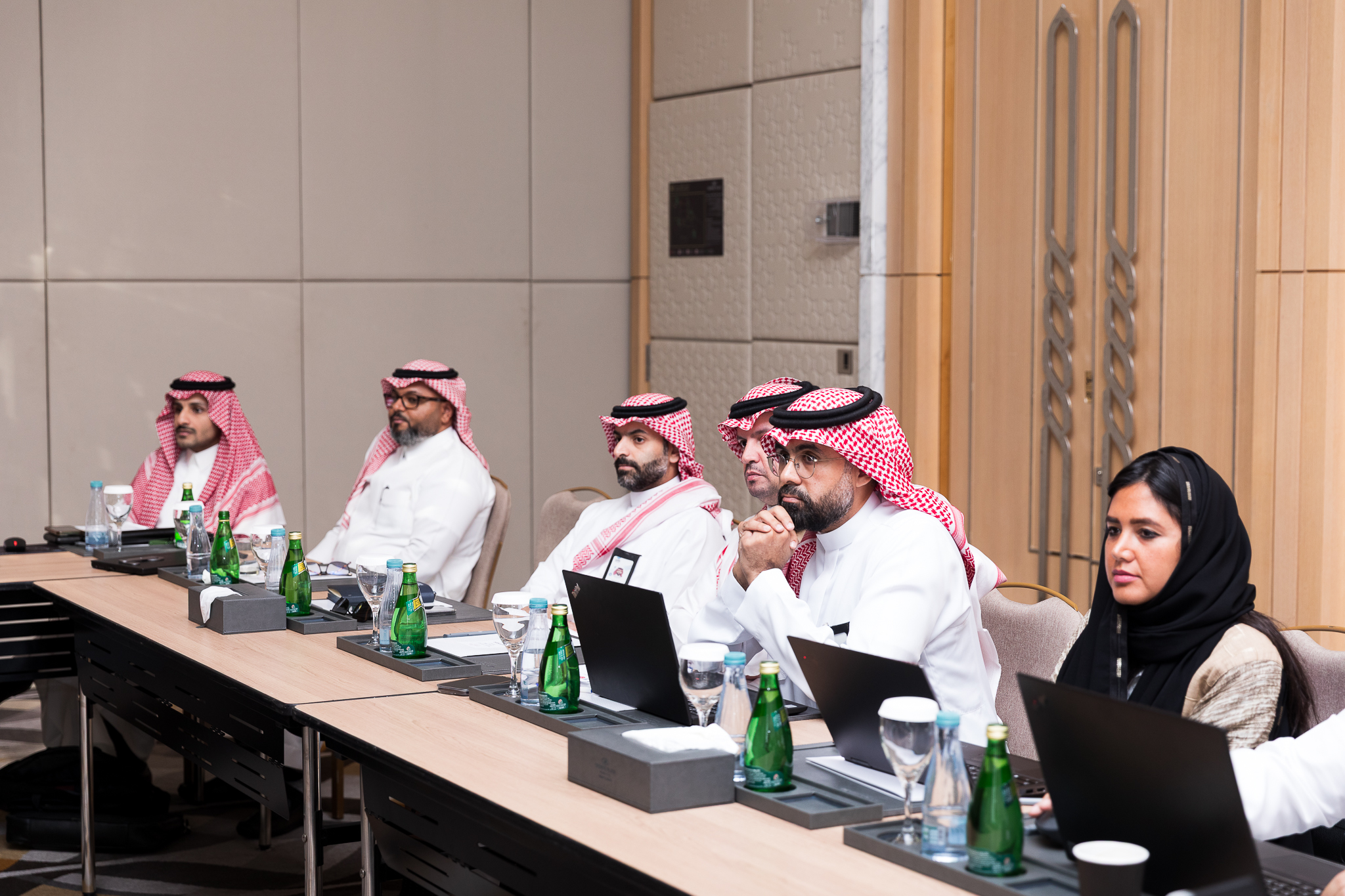 Saudi Air Navigation Services